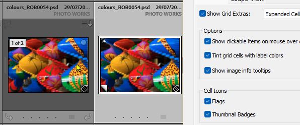 Solved: Virtual Copy page "flip" icon missing - Adobe Product Community ...