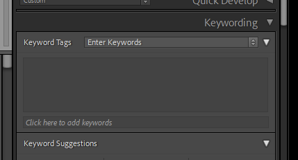 Solved: Keywords Missing from Keywords Panel - Adobe Product Community - 13896536