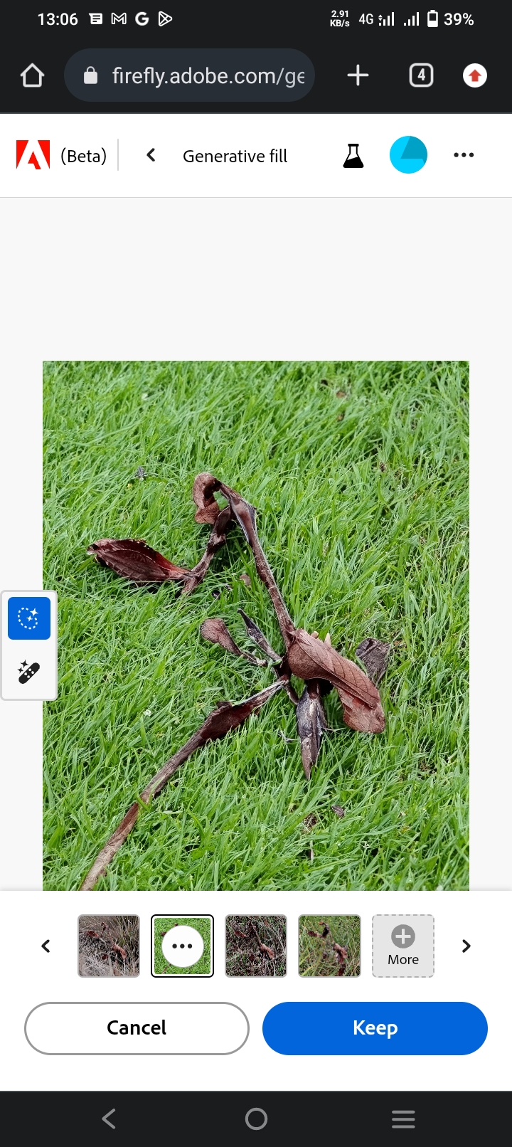 Ai not fully developed - Adobe Community - 13901183