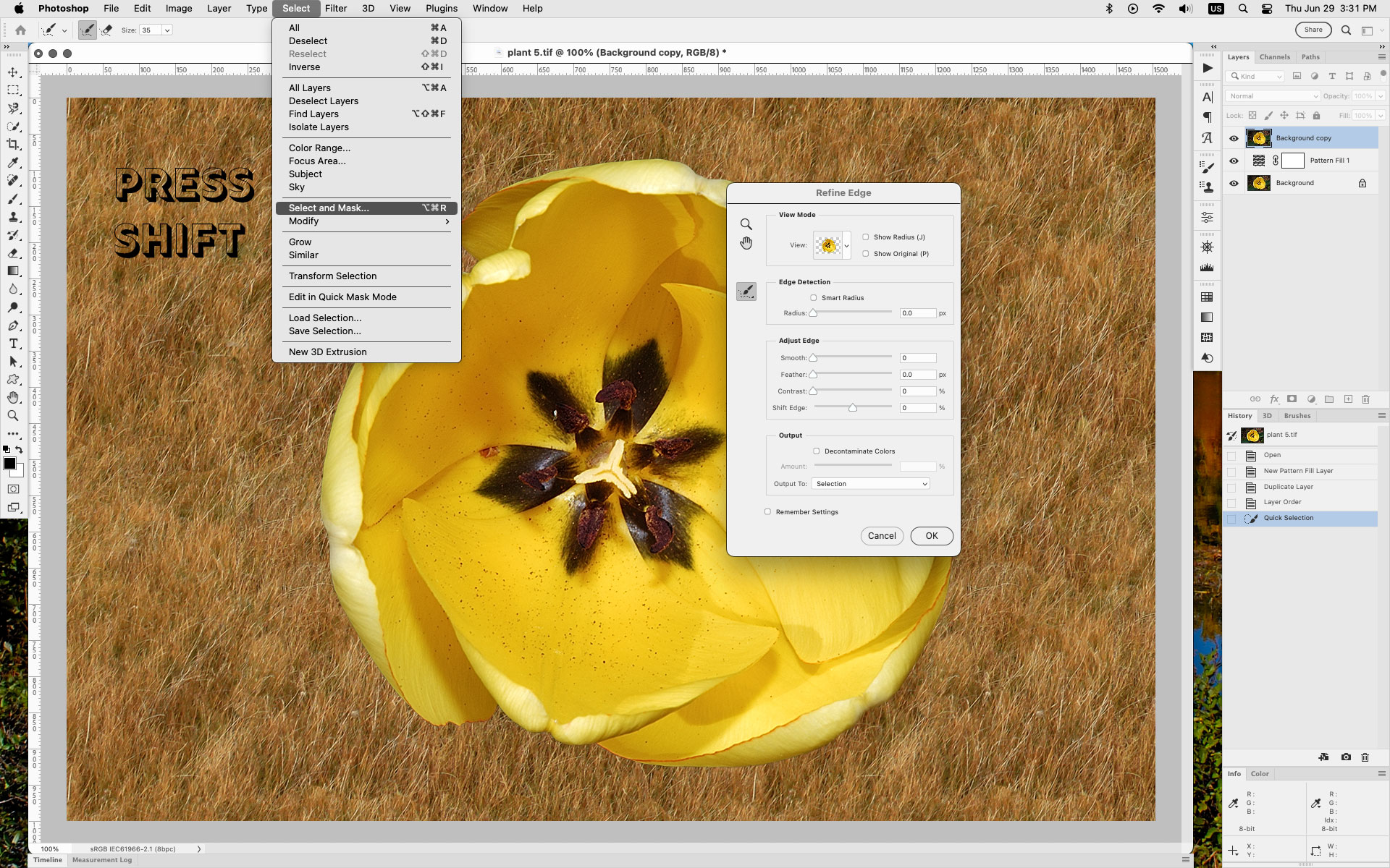 Can’t access “refine edge” sliders in Photoshop 20... - Adobe Community ...