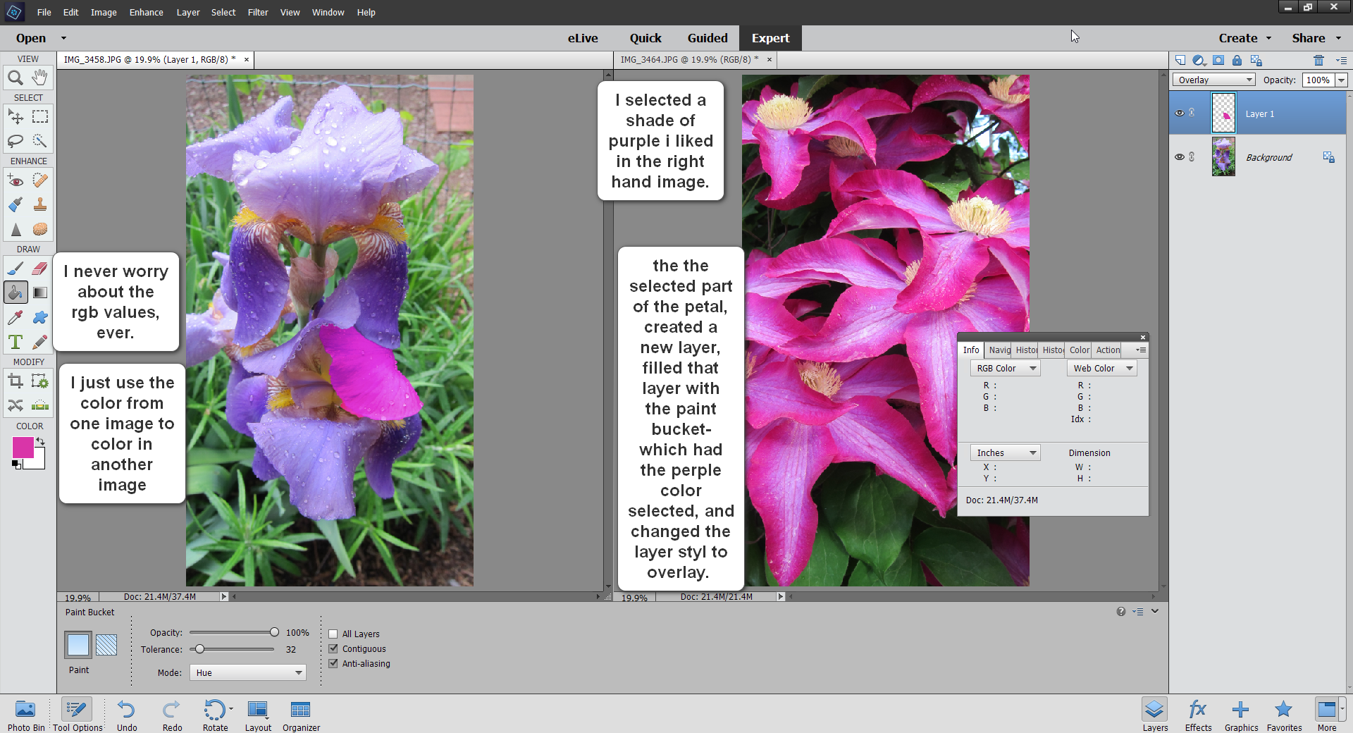 Solved: How to use colorisation with precision (e.g. with ... - Adobe ...