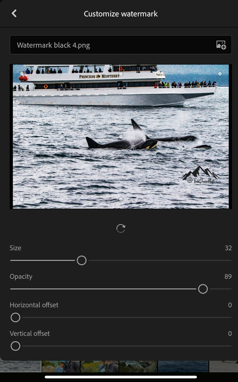 P: Watermark cannot be place in the corner. - Adobe Community - 13866788