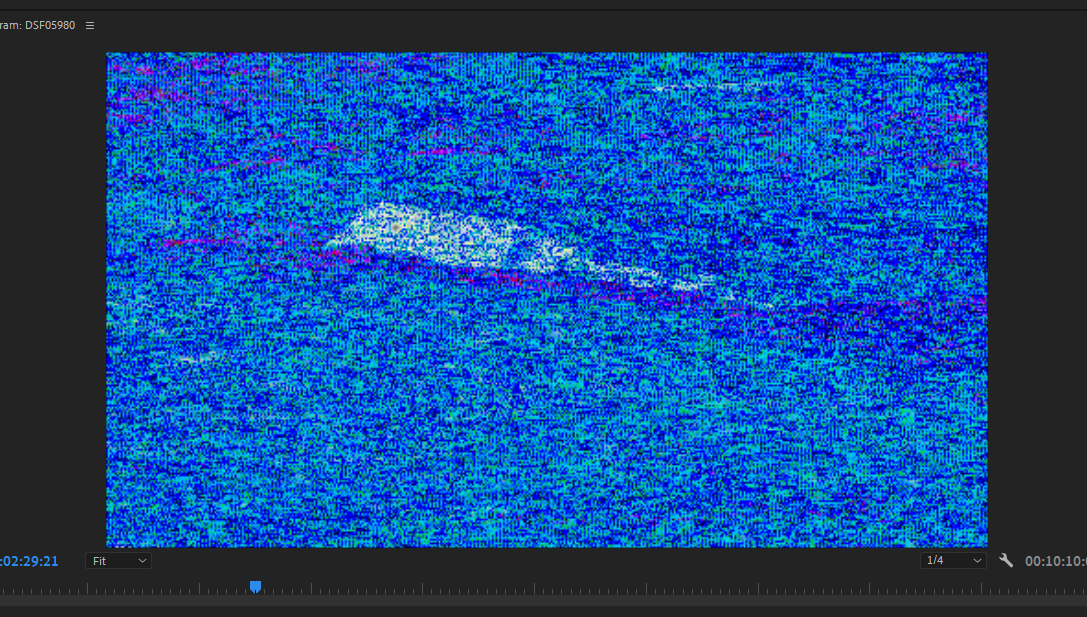 Solved: Blue glitch in Program monitor when editing proper... - Adobe Product Community - 13955453