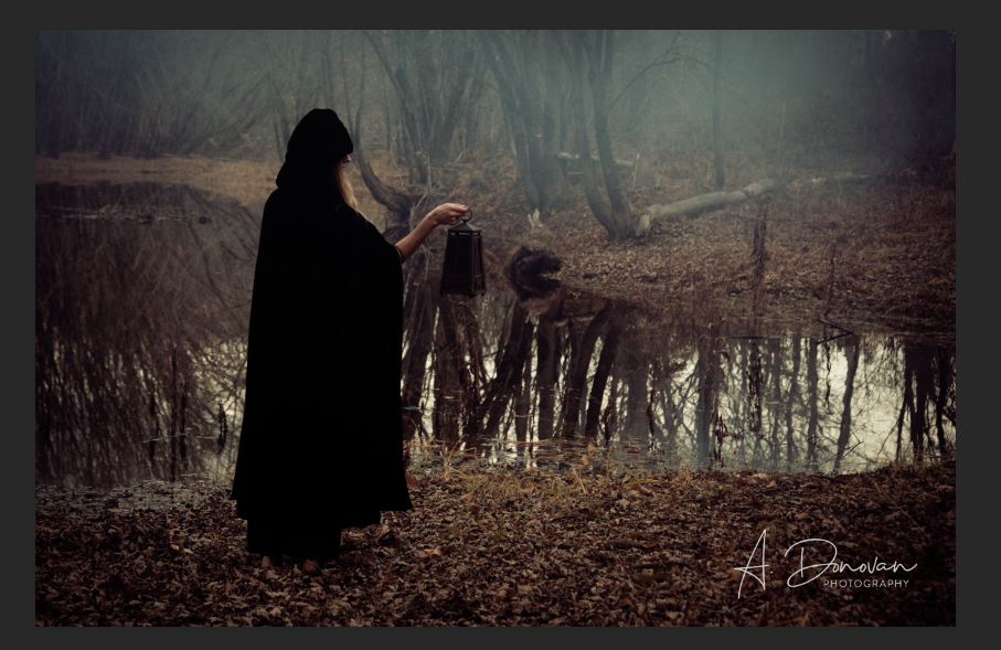 Using adobe stock overlay - Adobe Community - 10923410