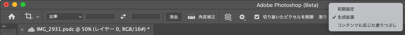 Photoshop (Beta) デスクトップ版の新機能：「生成拡張」 - Adobe Community - 13966933