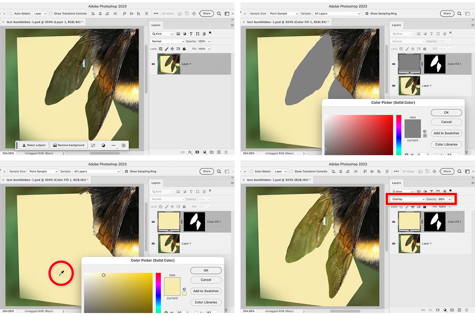 Solved: change background color in transparent object - Adobe Product Community - 13969463