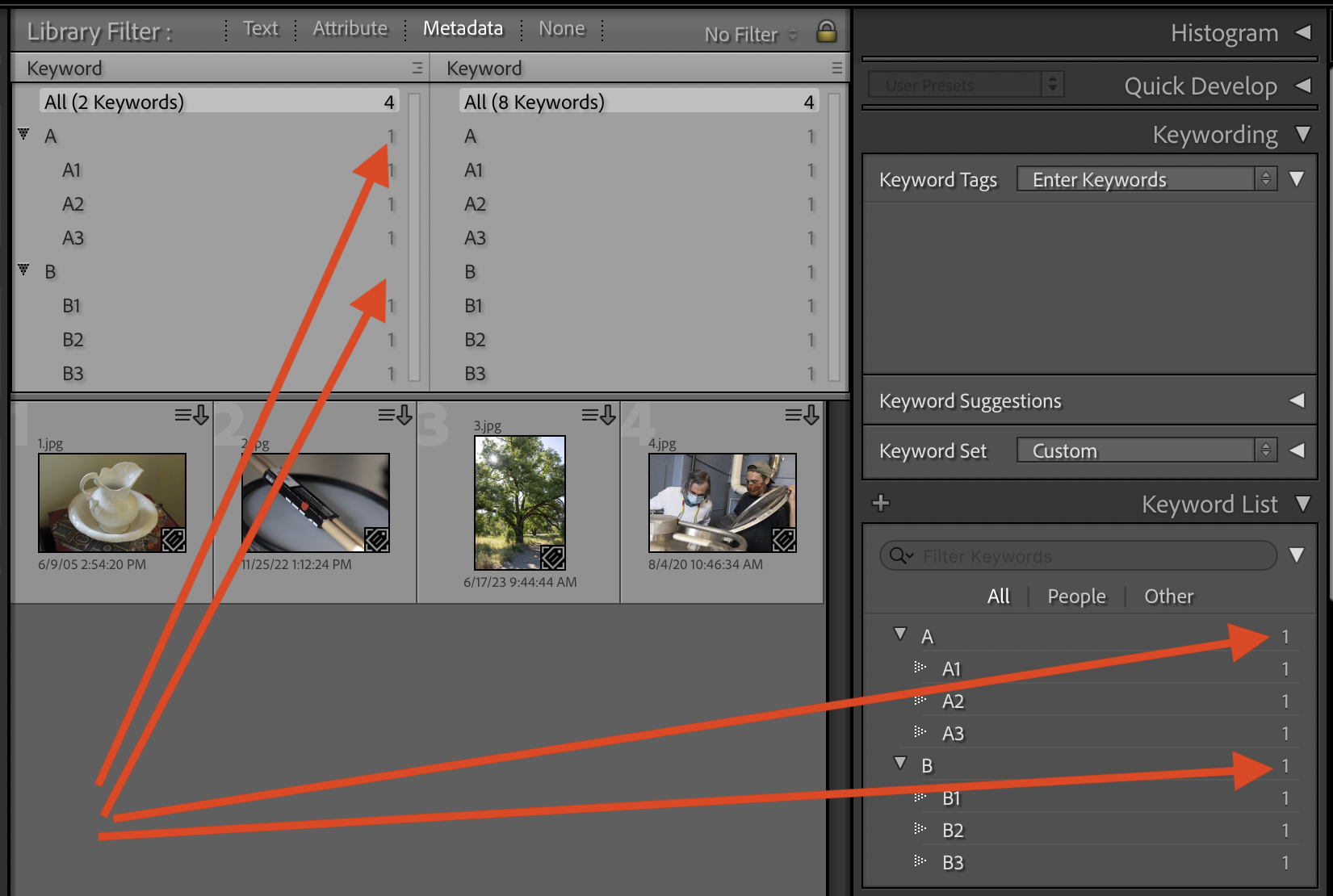 P: Inconsistent counts in the Metadata browser for... - Adobe Product ...