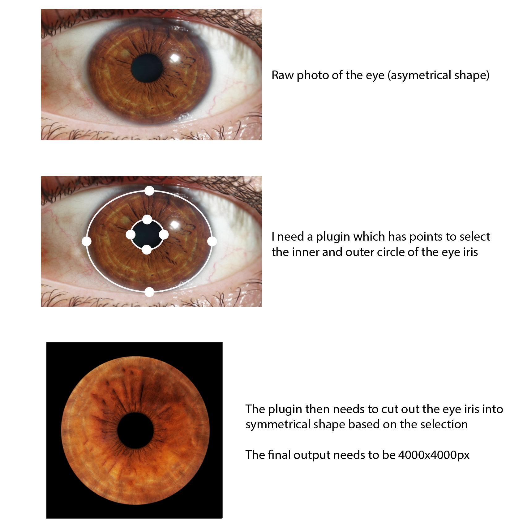 Help with a specific Photoshop task - Adobe Product Community - 13980669