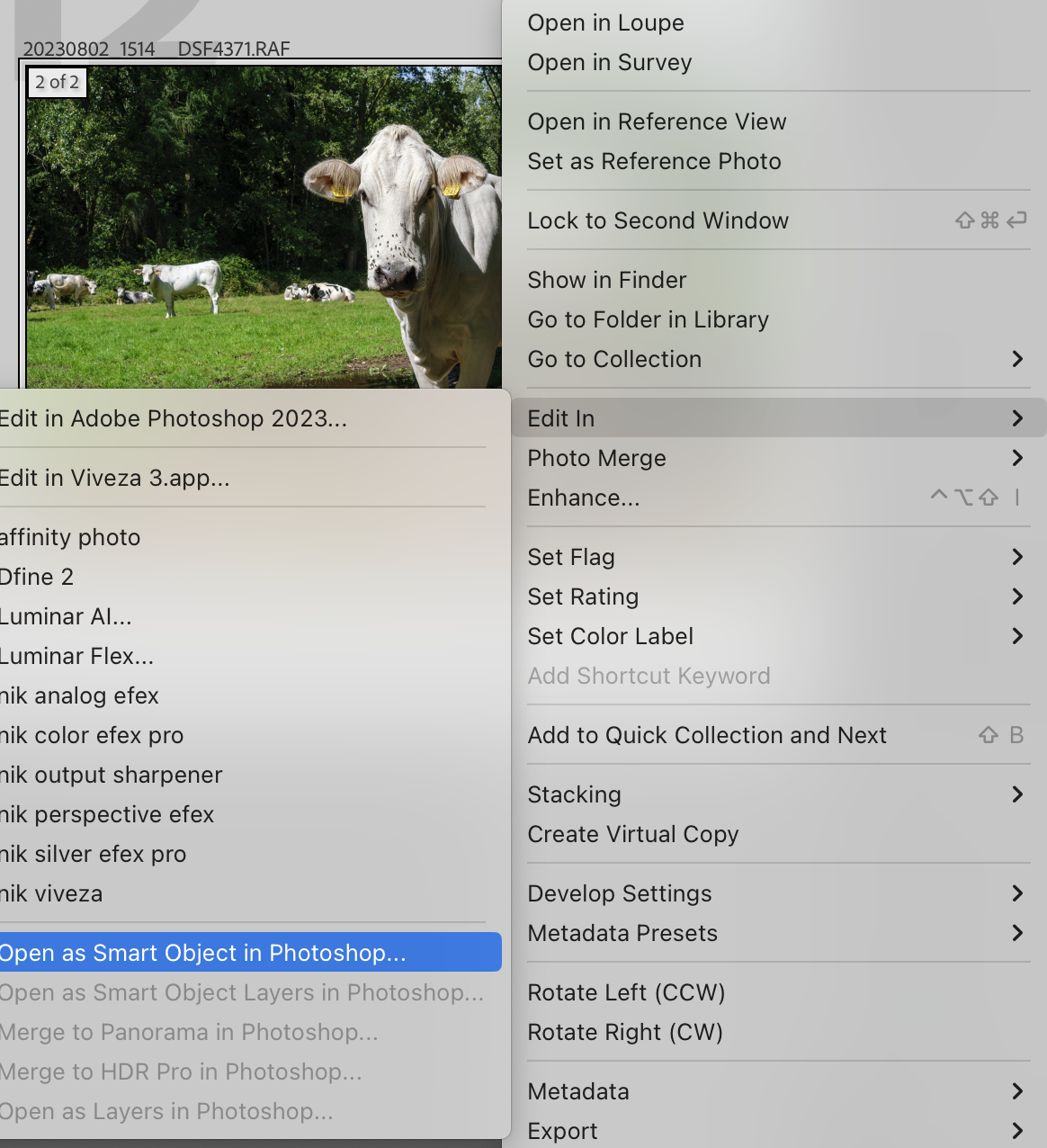Solved Right Click Edit In Edit In Adobe Photoshop 202 Adobe