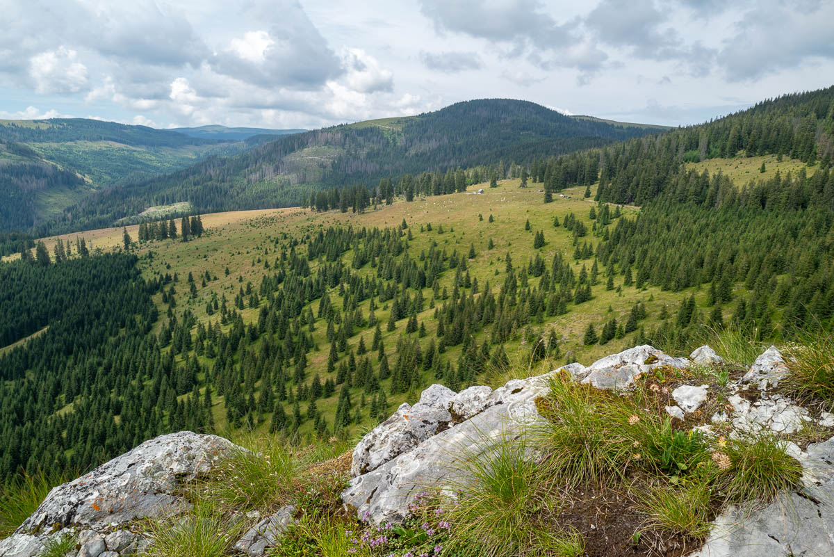 Dull images when processed through HDR Pro in Phot... - Adobe Product ...