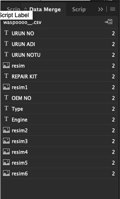 DATA MERGE INDESIGN-EXCEL - Adobe Product Community - 13996740