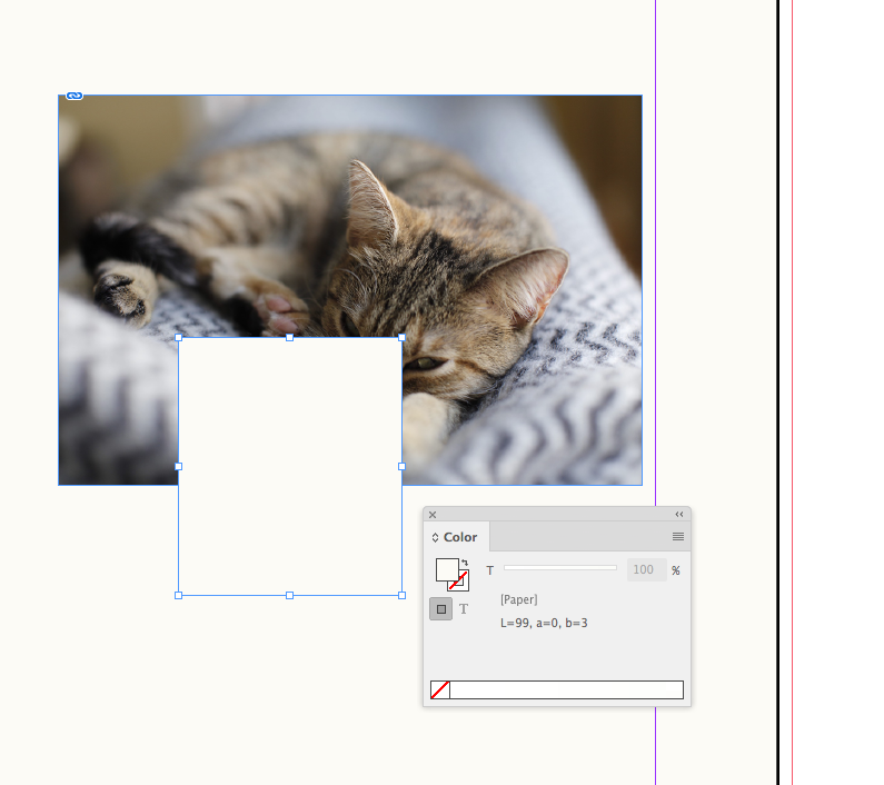 Solved: Paper color is not the same as page background col... - Adobe ...