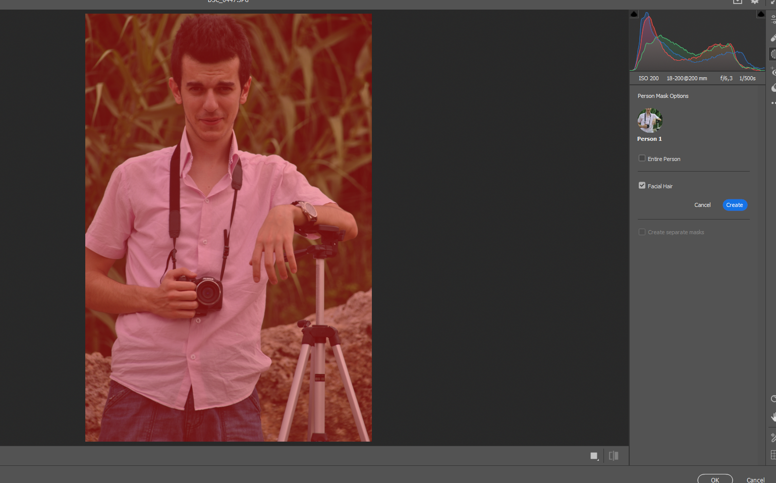Camera Raw Masks not Working / PS Version 24.7.0 - Adobe Product ...