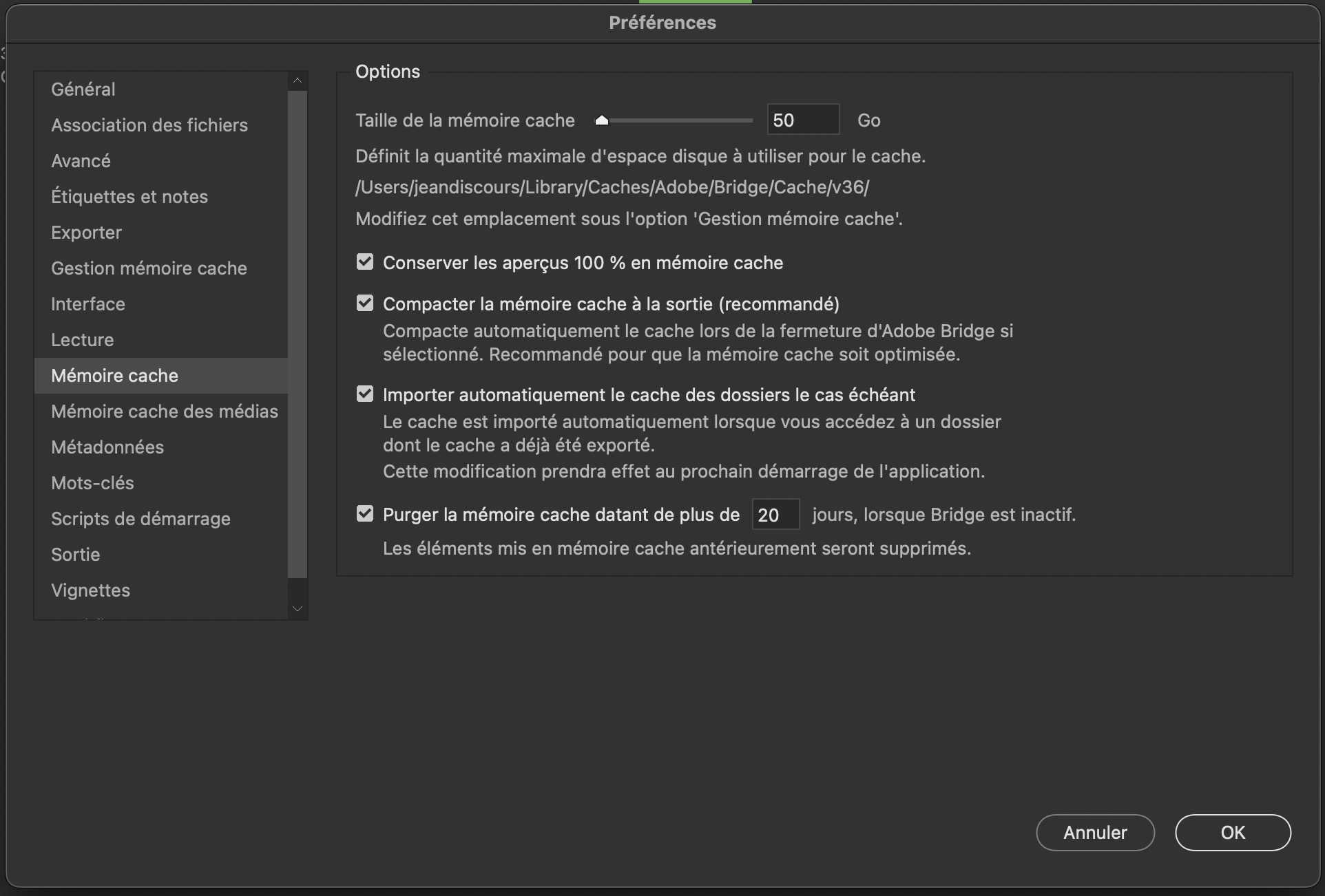 Affichage de mauvaise qualité sur Mac - Adobe Community - 14019994