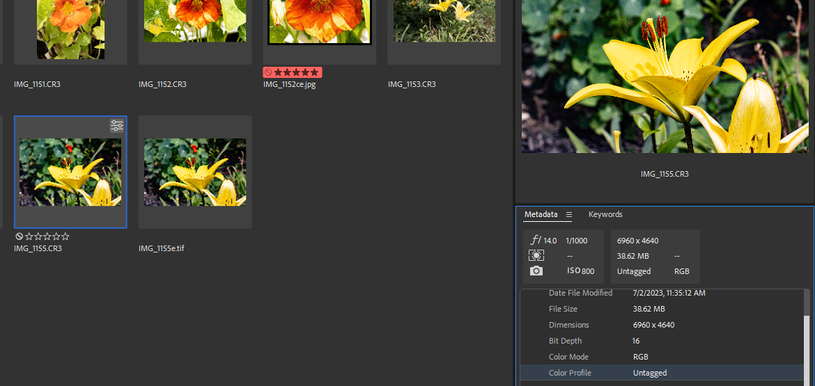 5DSr - How to Set Color Profile? - Adobe Product Community - 14039589