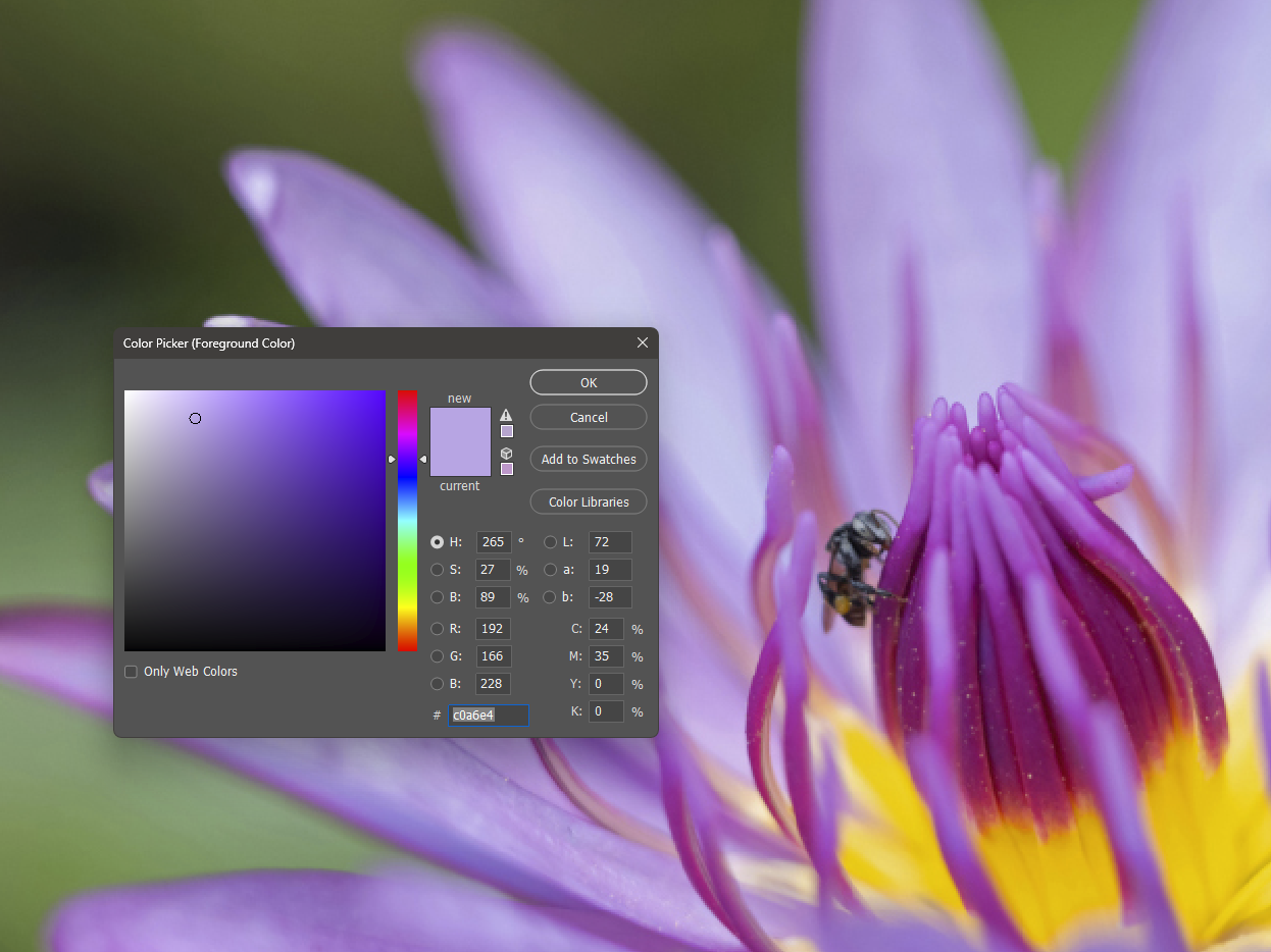 Solved: Re: Adobe script: Selecting the most prominent col... - Adobe ...