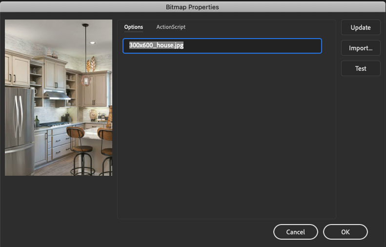 What happened to the bitmap properties editor? - Adobe Product Community - 10934216