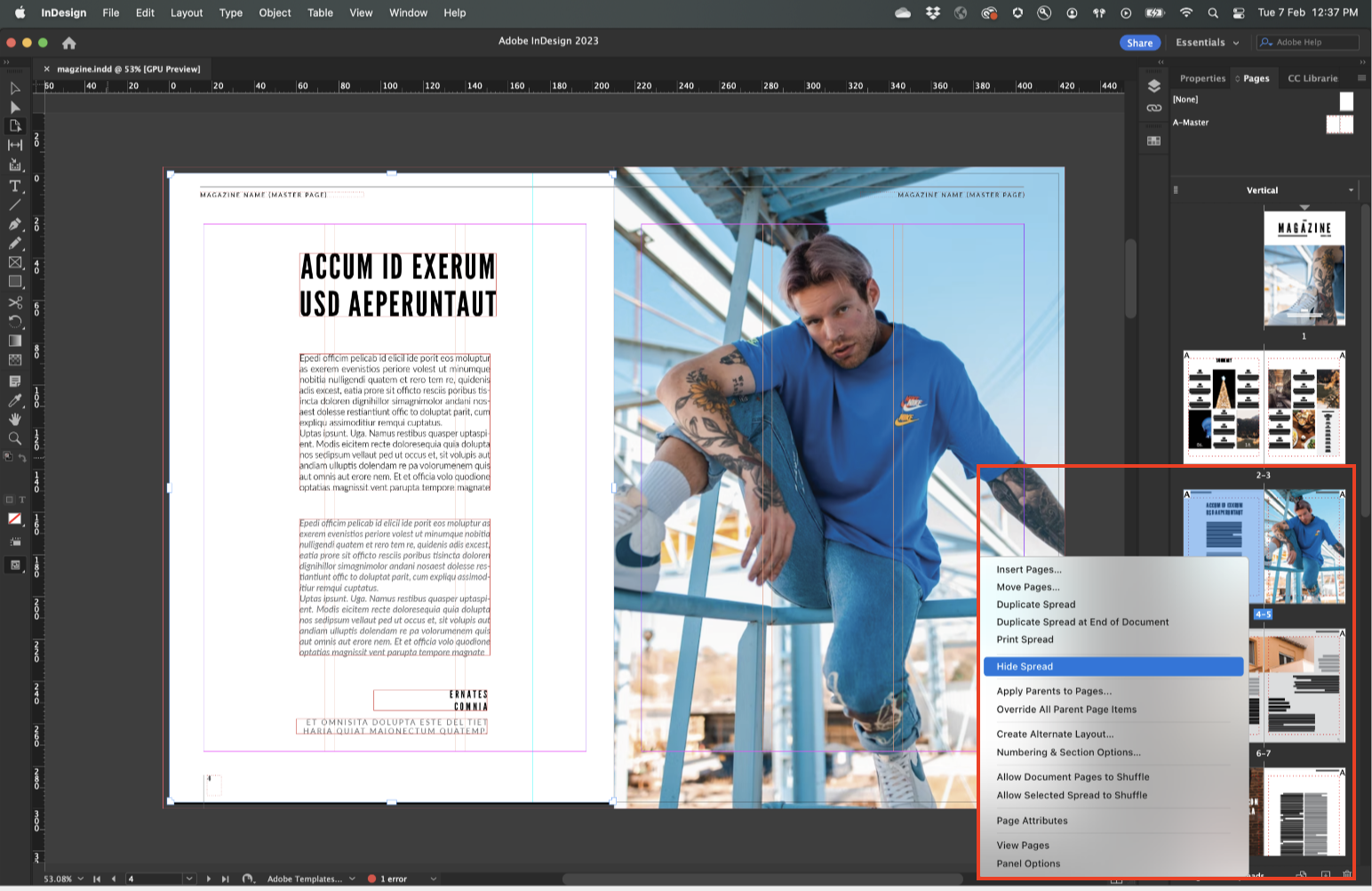 Unveiling InDesign's Latest Gem: "Hide Spread" Fea... - Adobe Community ...