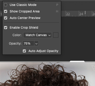 Enable Crop Shield option is greyed out in Photosh... - Adobe Community ...