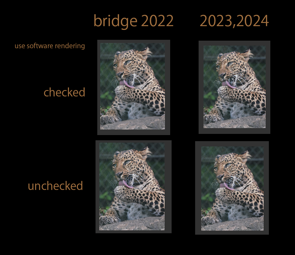 Rendering options and jaggies when preview size is... - Adobe Community ...