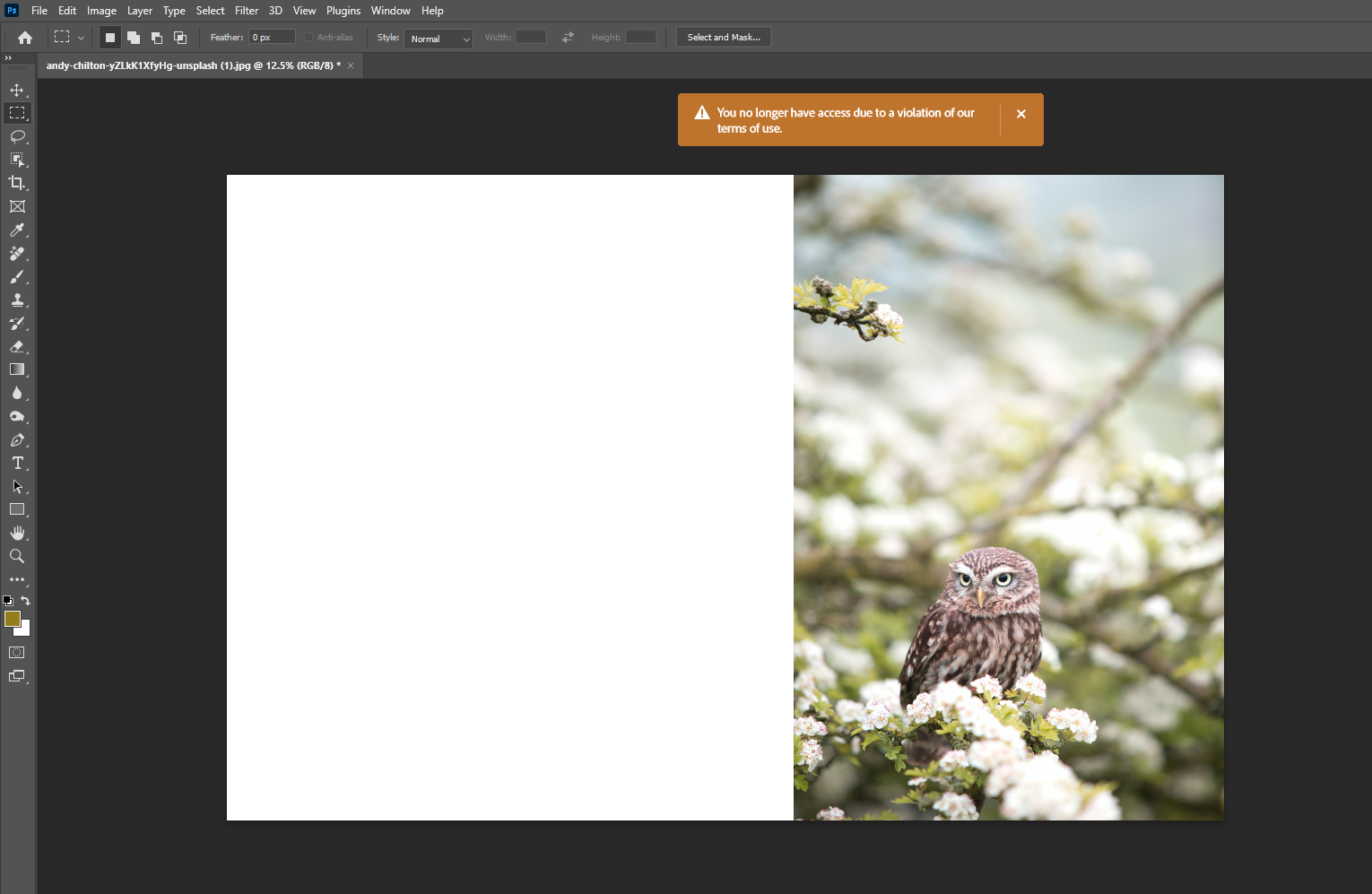 Solved: photo - Adobe Community - 14097711