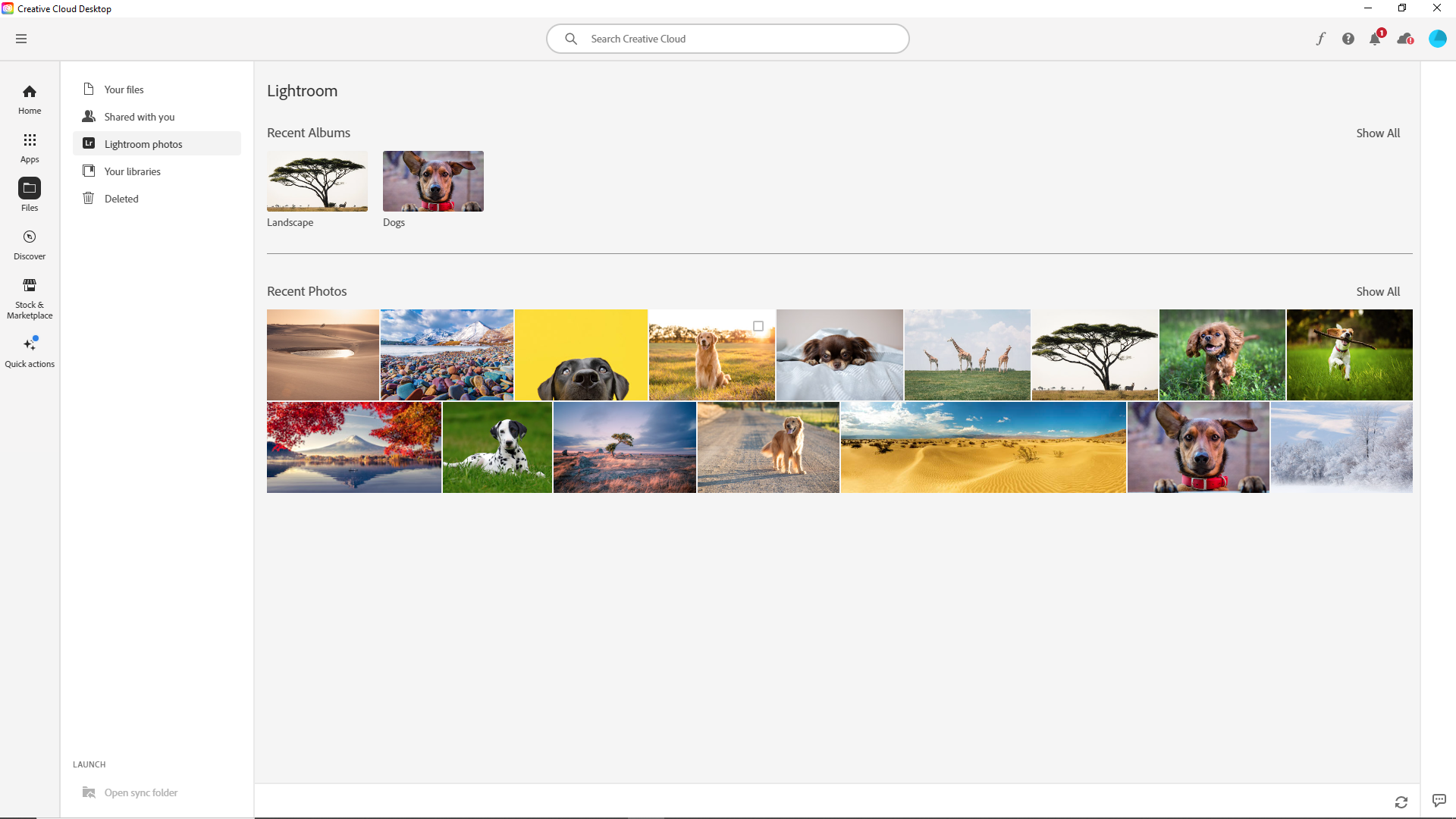 Lightroom Photos in Creative Cloud Desktop app fee... - Adobe Community ...