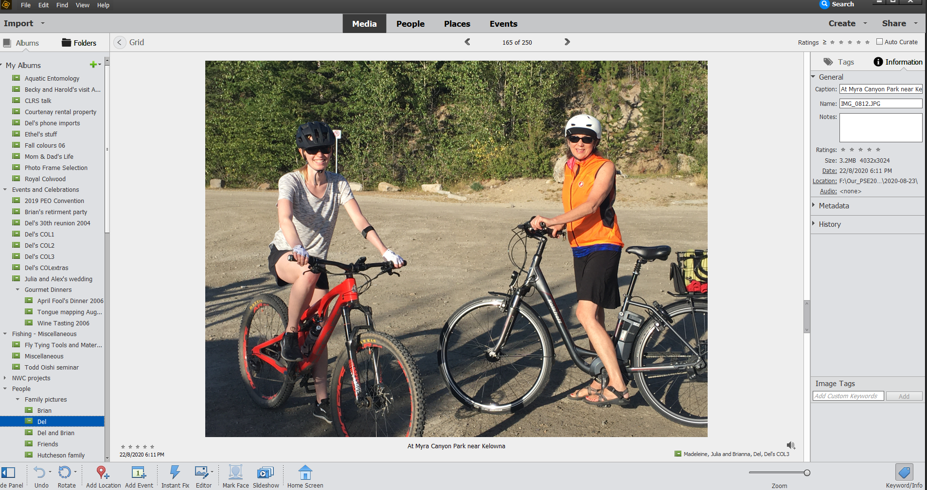Why is Mark Face sometimes grayed out in the Eleme... - Adobe Product ...