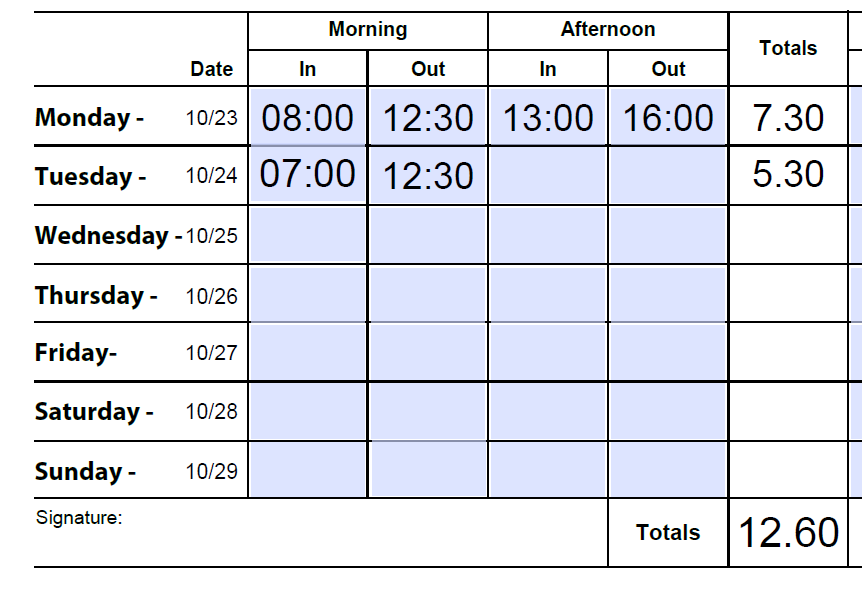 Solved: Timesheet to display worked hours/minutes as hours... - Adobe ...