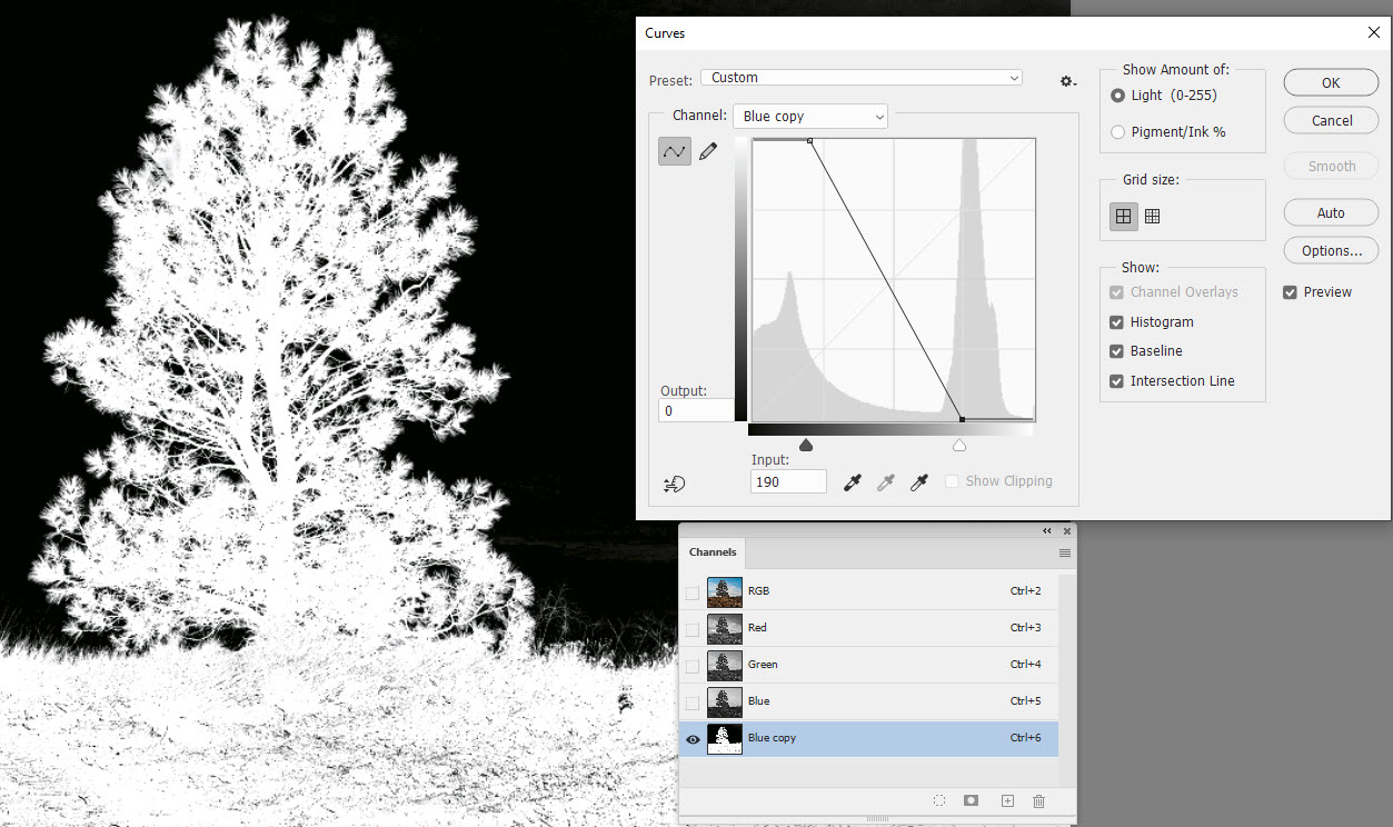Solved: Select a pine tree to edit the tree - Adobe Product Community ...