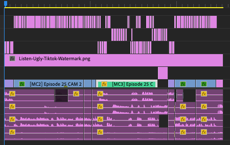 Multitrack/Speaker Caption editing - Adobe Product Community - 14115925