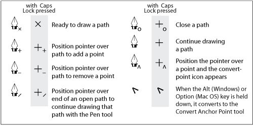 Every line and points disappear - Adobe Product Community - 14119649