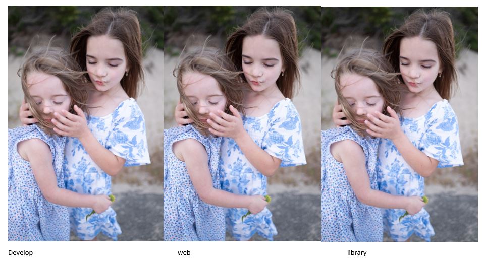 Huge color difference in LR Develop Tab vs LR Web ... - Page 2 - Adobe ...