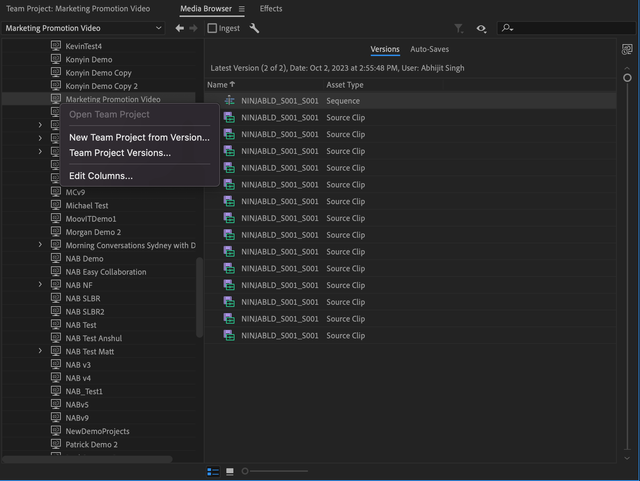 Now in Beta: Updated Version and Auto Save History... - Adobe Product Community - 14128940