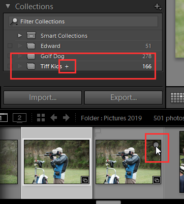 Quick collection button not working in lightroom - Adobe Product ...