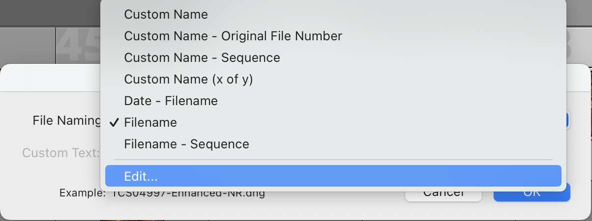 P: A way to alter the naming for Enhanced filename... - Page 2 - Adobe ...