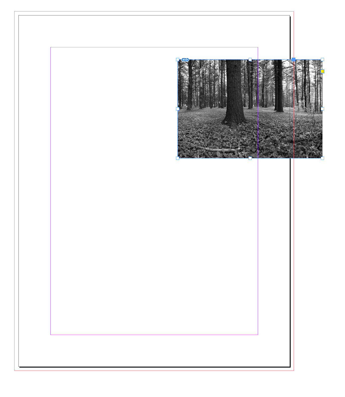 Script to resize, rotate, and center images on spe... - Adobe Product Community - 14148477