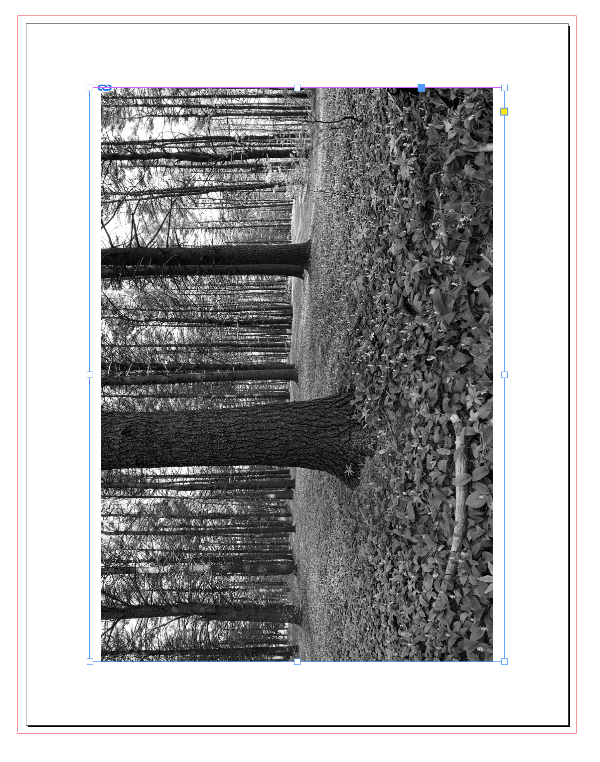 Script to resize, rotate, and center images on spe... - Adobe Product Community - 14148477