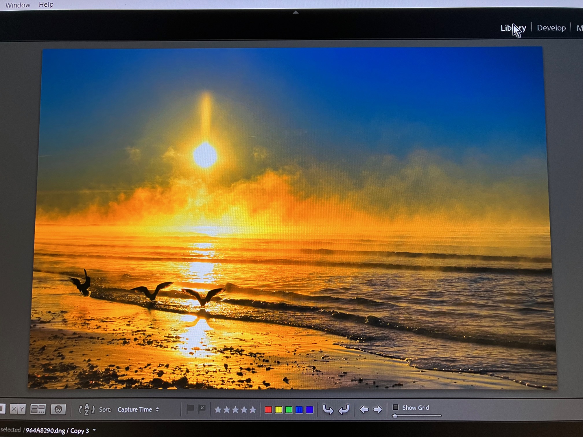 Solved: Color is off in Library and Full Screen - Adobe Community ...
