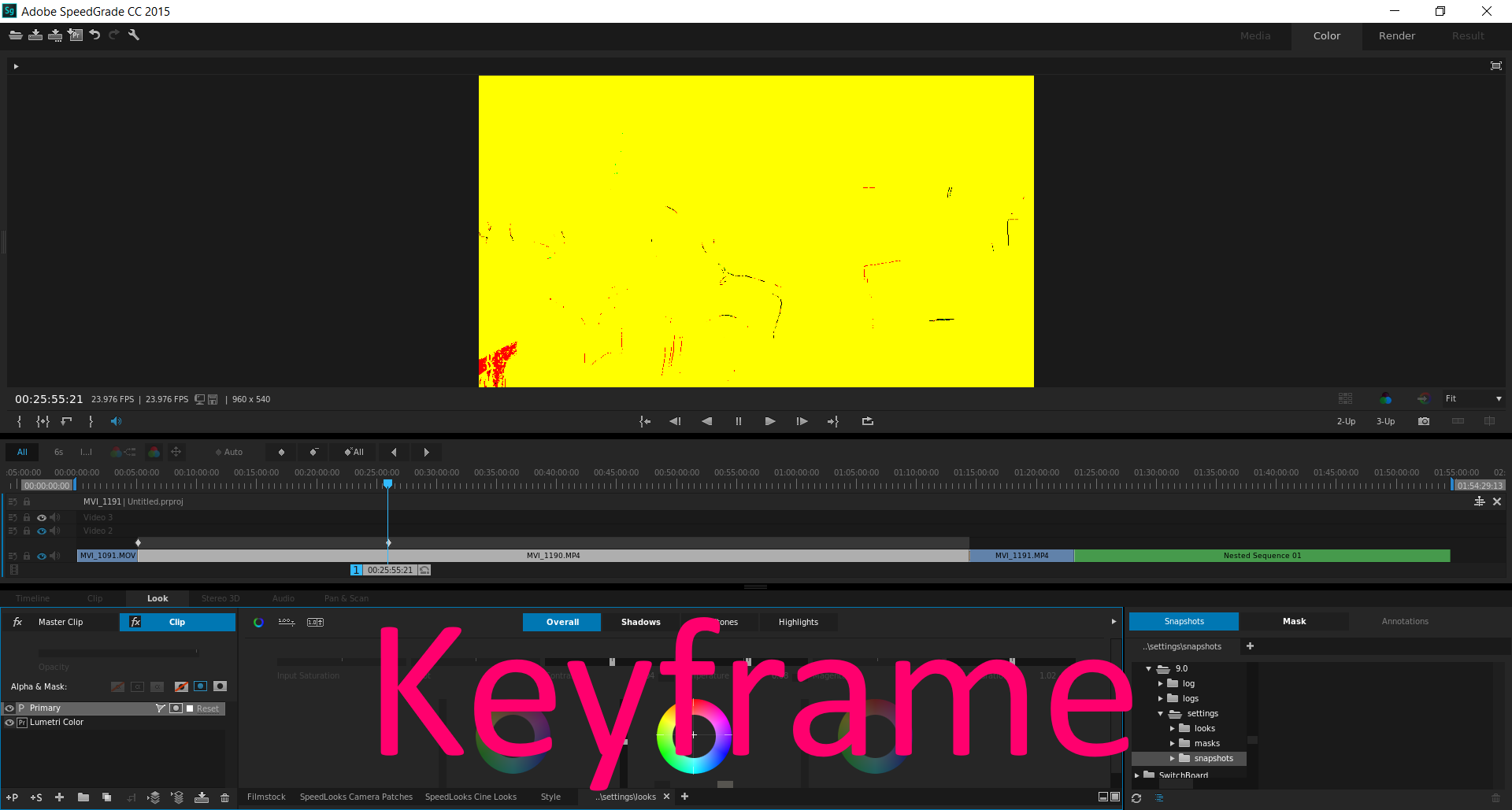 SpeedGrade 2015 keyframe issue - Adobe Community - 14171959