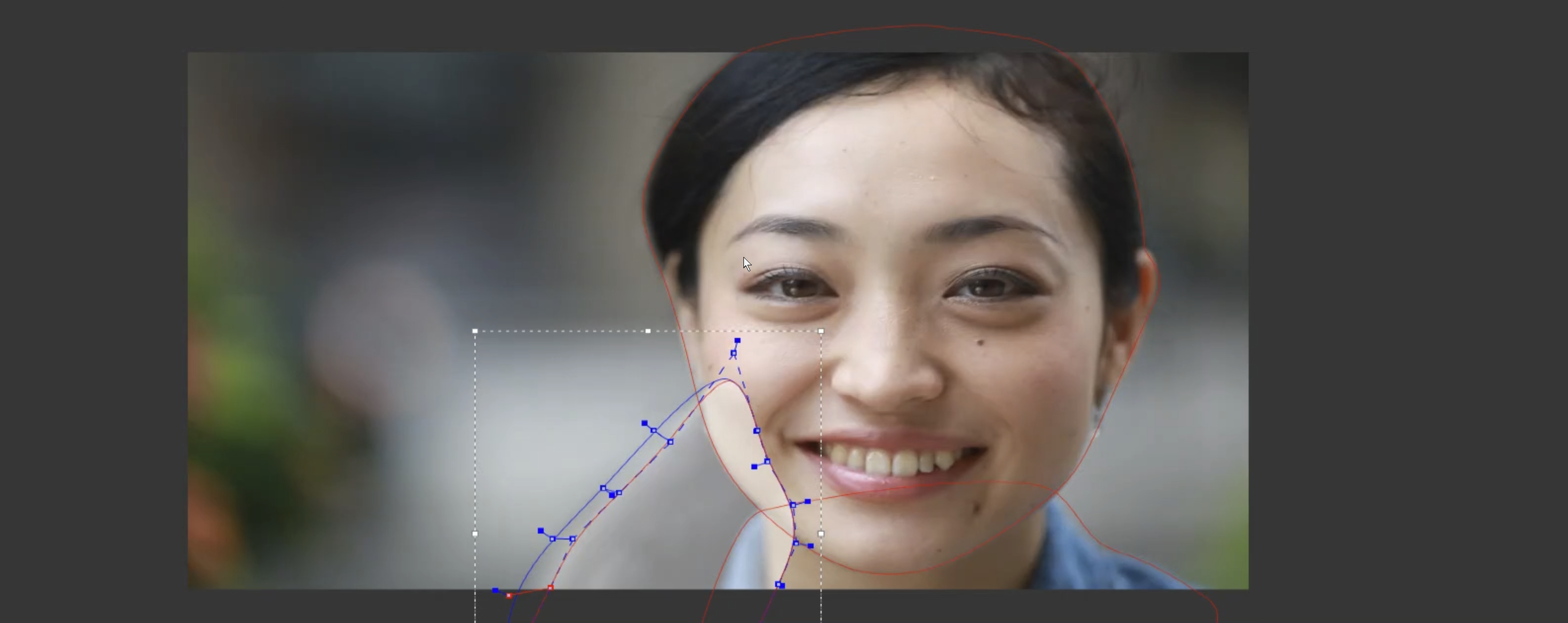 Pen Tool - Edge feathering... - Adobe Product Community - 14172371