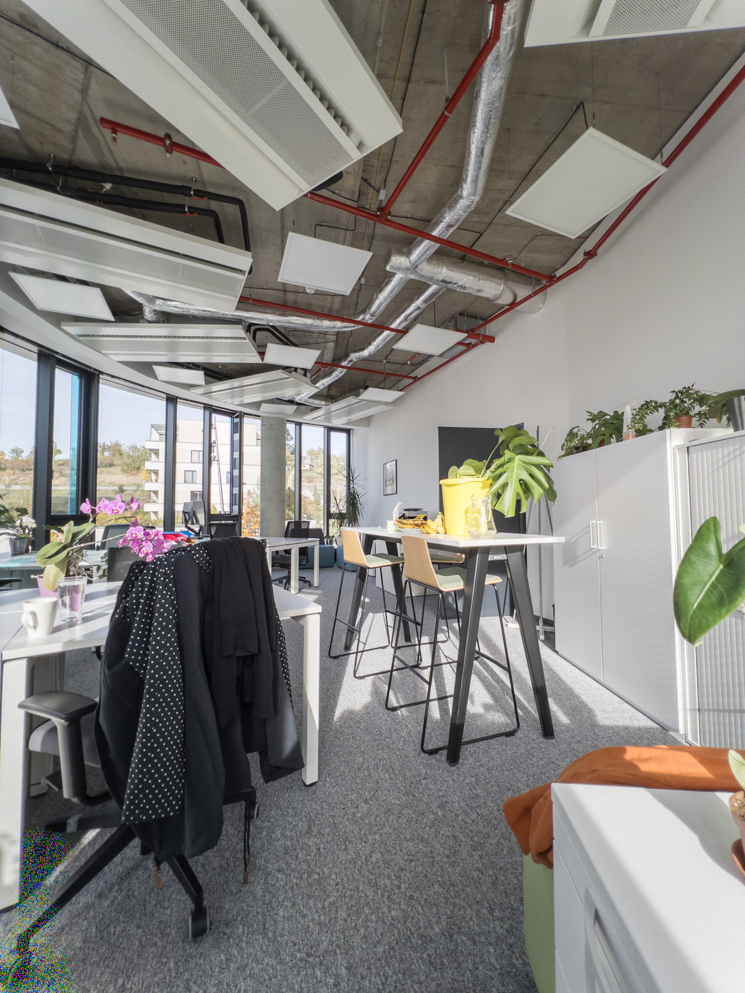 random color noise spots on photos taken by the Li... - Adobe Product ...