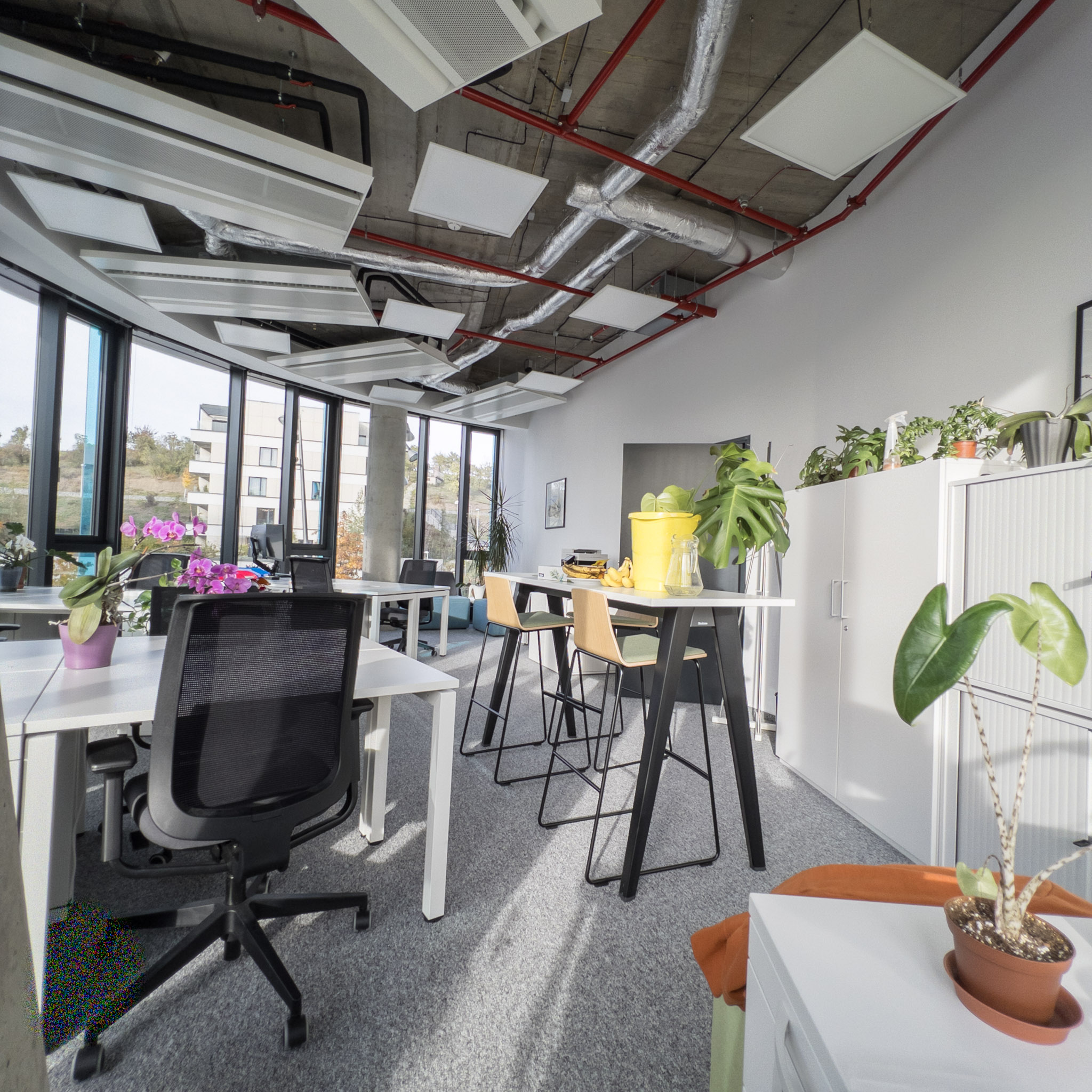 random color noise spot on DNG photos taken by mo... - Adobe Community ...