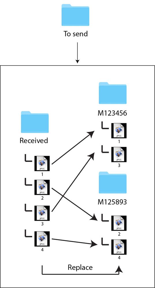 automating move dispatch and replace images to dif... - Adobe Support ...