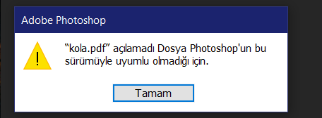 photoshop file opening error - Adobe Community - 14193563