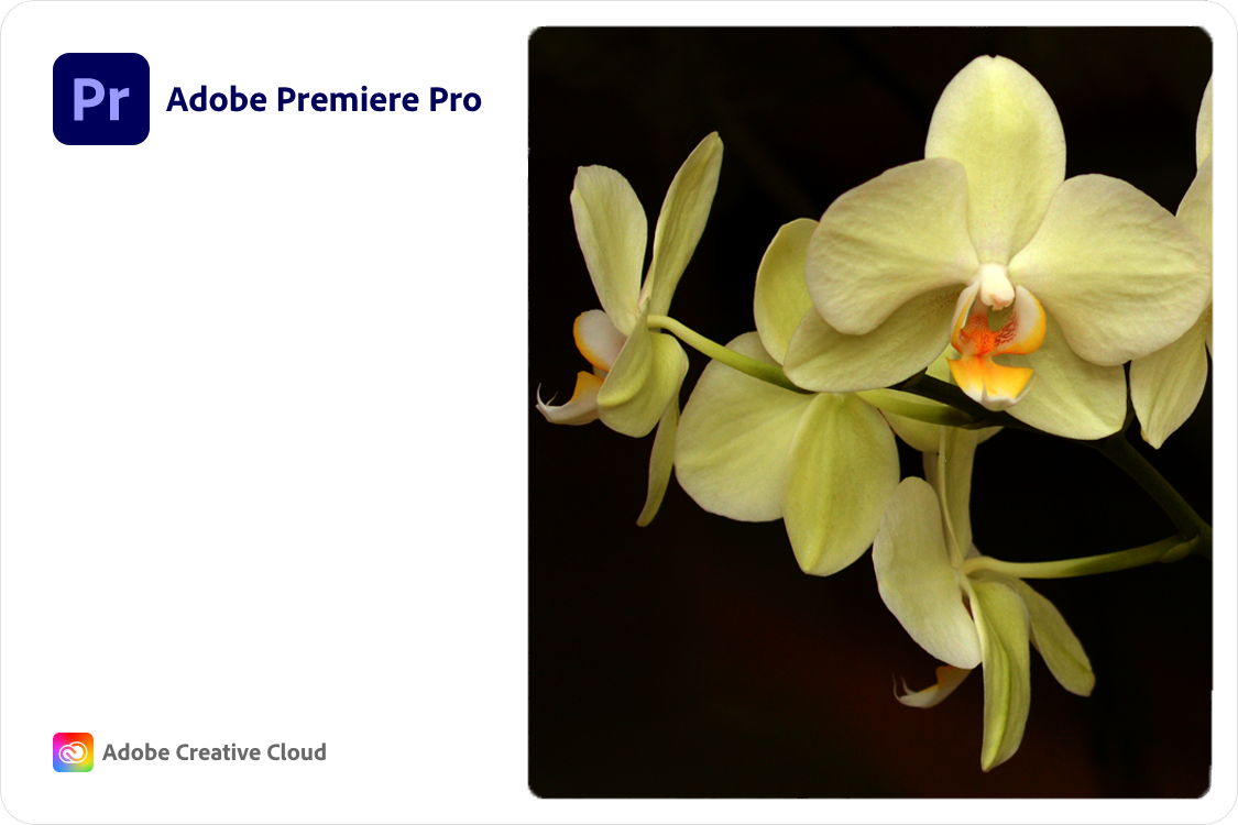 Solved: Changing load screen on Premiere 24.0 - Adobe Product Community ...