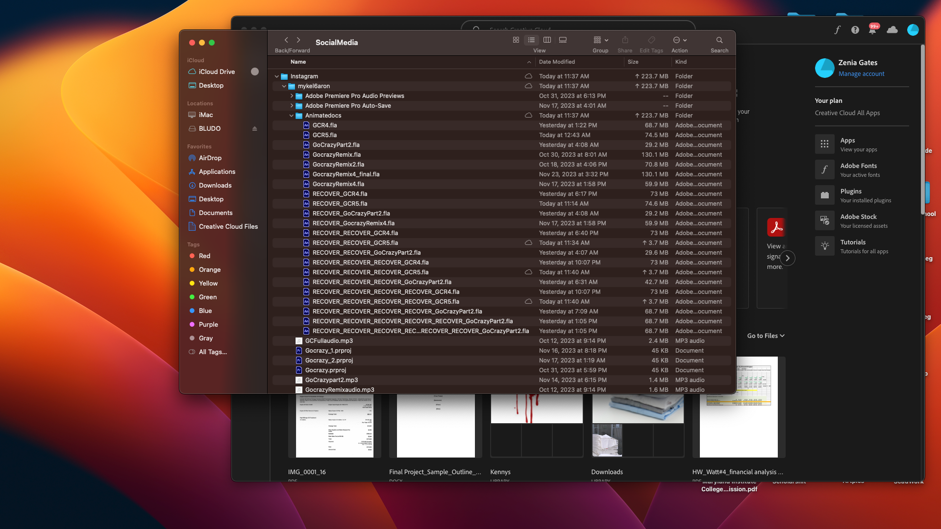 Adobe animate 2024 keeps crashing mid work - Adobe Product Community ...