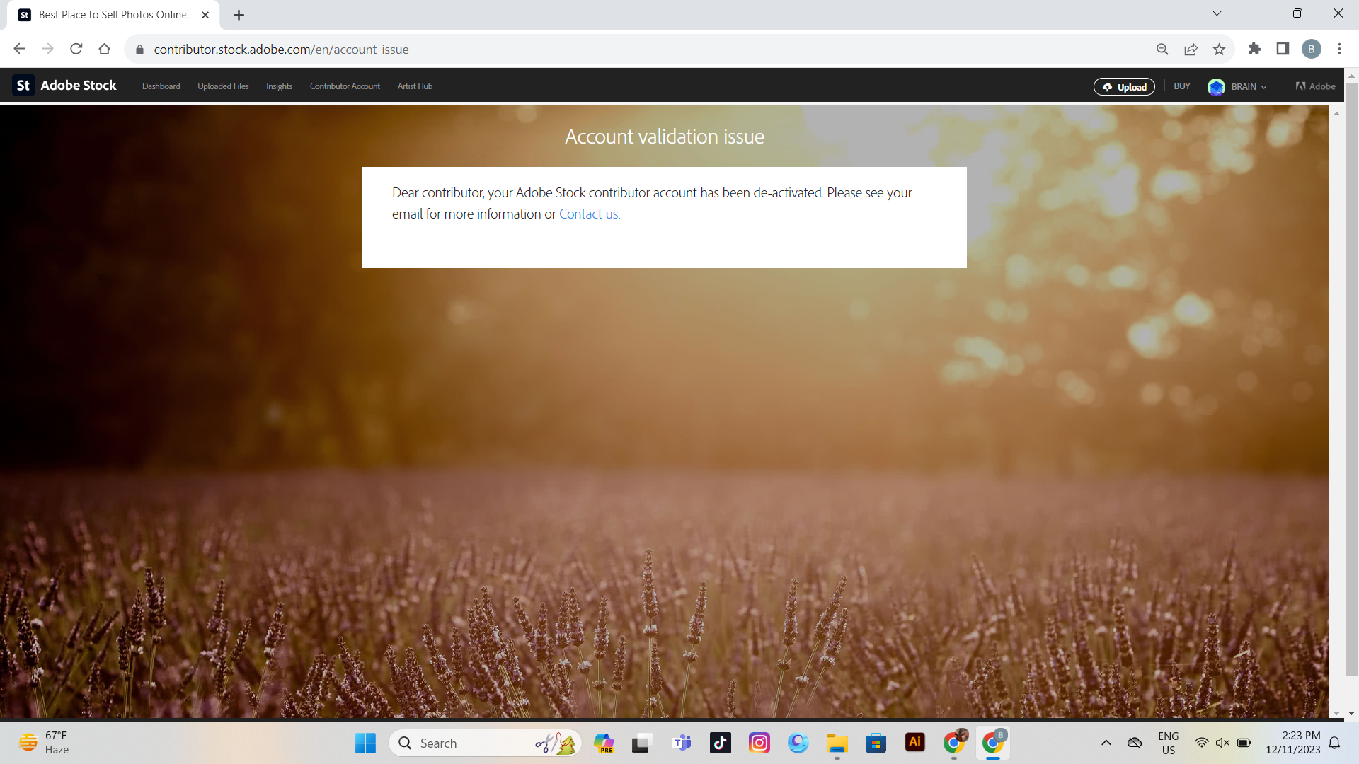 Solved: Adobe Stock contributor account has been de-activa... - Adobe Product Community - 14290825