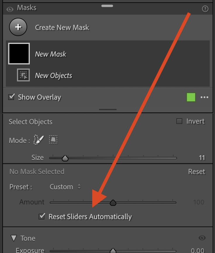 Solved: Anyone else experiencing this strange masking issu... - Adobe Product Community - 14300256