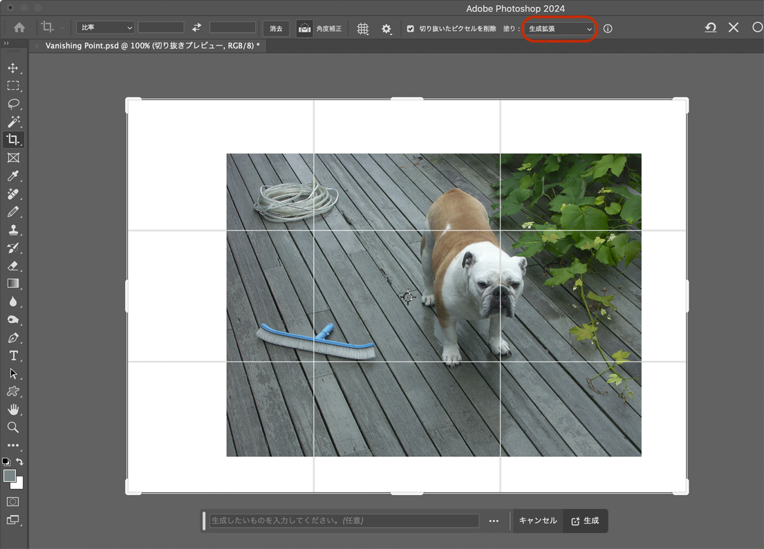 生成拡張機能が使えない - Adobe Product Community - 14298516