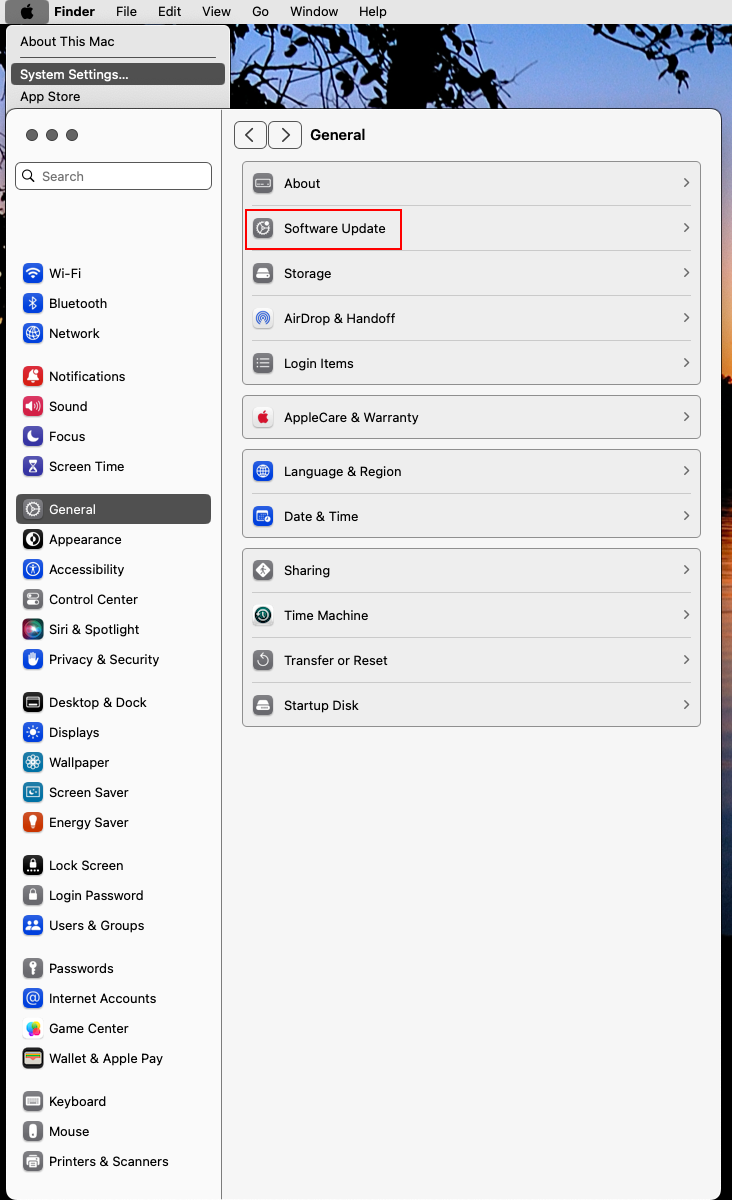 Glitch in tools - Adobe Community - 14315324